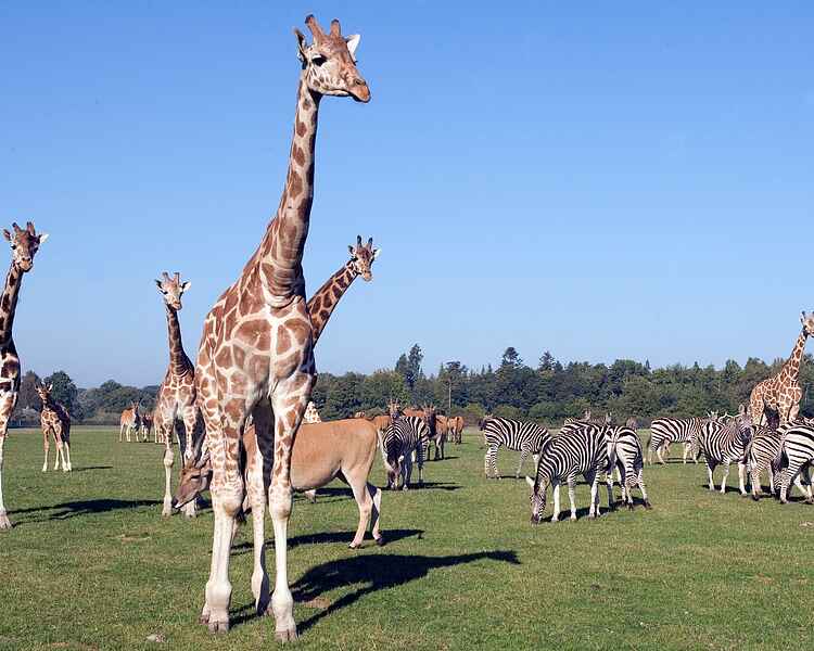 15 af de bedste seværdigheder og oplevelser på Lolland (2024)