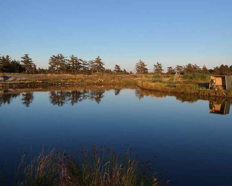 16 af de bedste oplevelser og seværdigheder i Holstebro (2024)