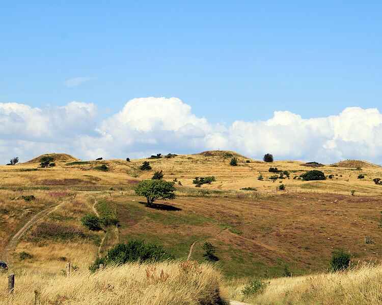 21 af de bedste aktiviteter og seværdigheder på Djursland (2024)
