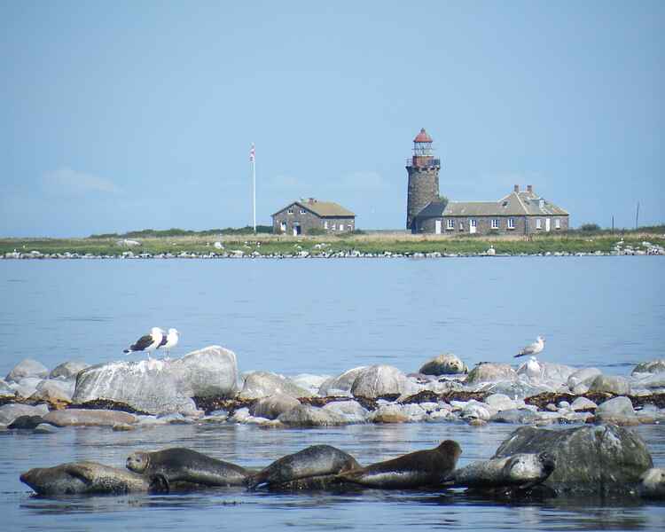 6 af de bedste seværdigheder og oplevelser på Læsø (2024)
